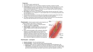 receptors and sense organs notes third sem zoo | PDF