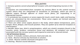 receptors and sense organs notes third sem zoo | PDF
