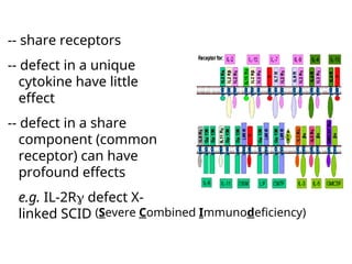 RECEPTORS AND SIGNALING ; CYTOKINES .ppt