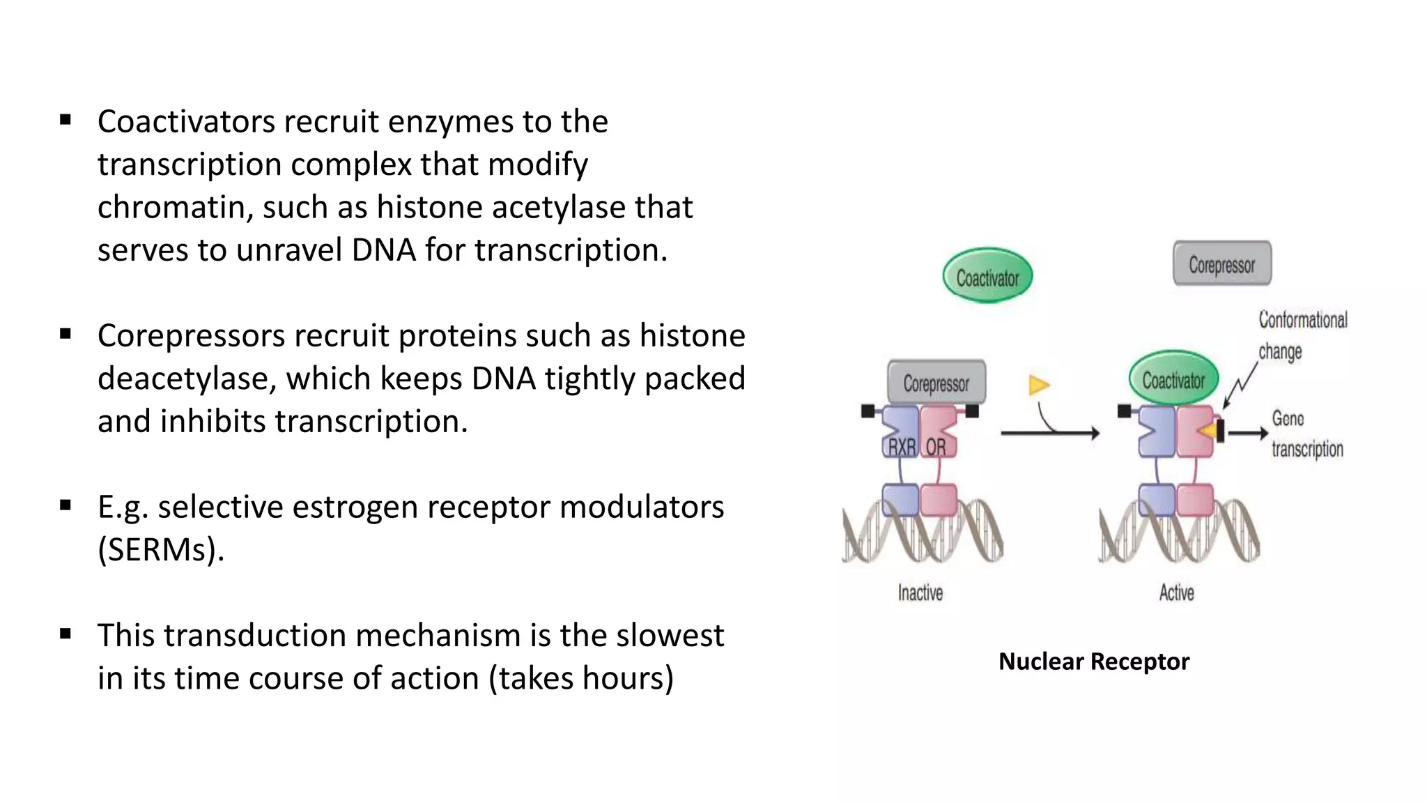 Receptors and signaling pathway dr nipa | PPT