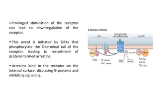 Receptors and signaling pathway dr nipa | PPT