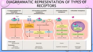 Receptors as a drug target unit 1 | PPTX