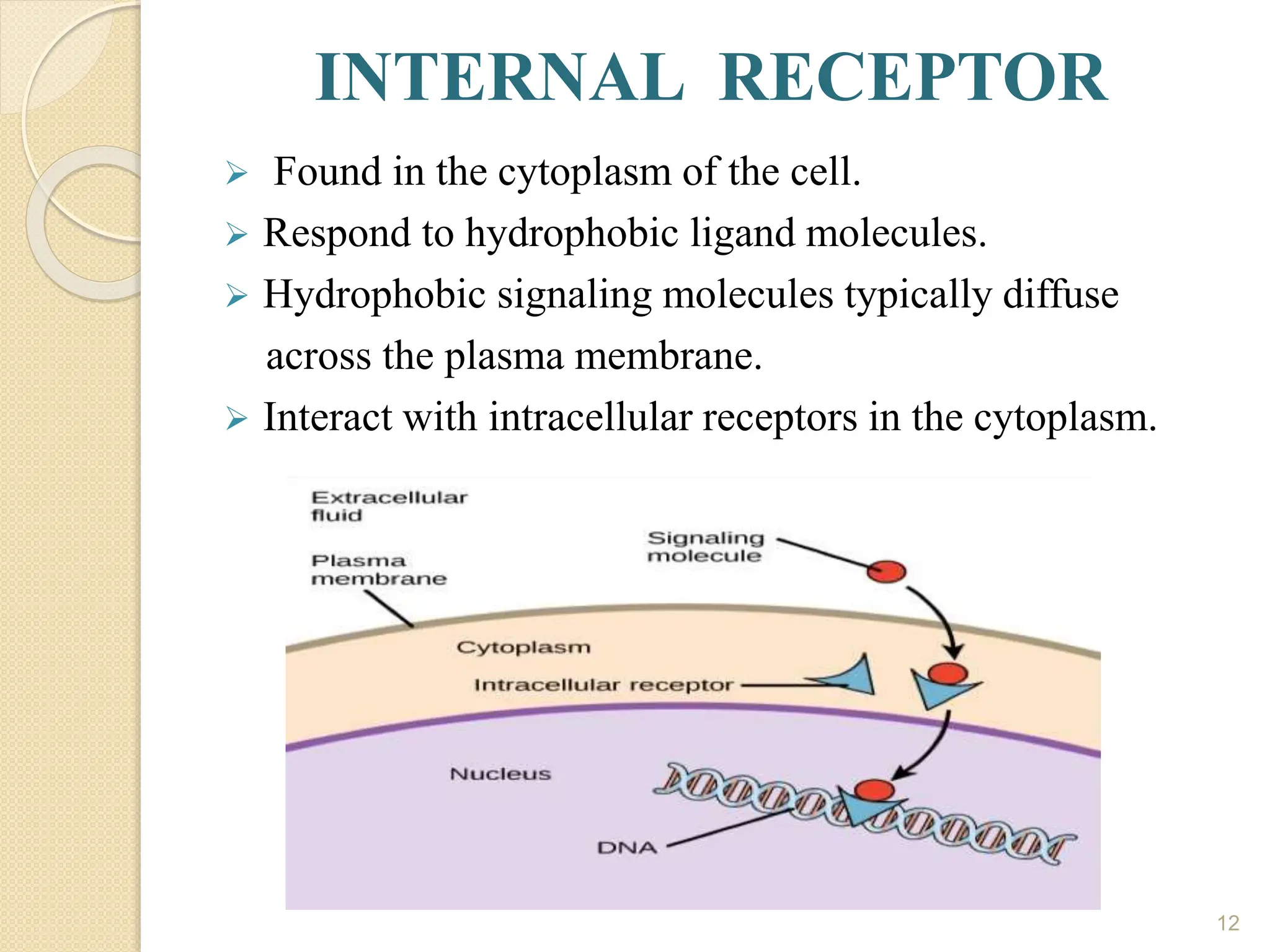 RECEPTORS AS BIOLOGCAL DRUG TARGETS ppt.pptx