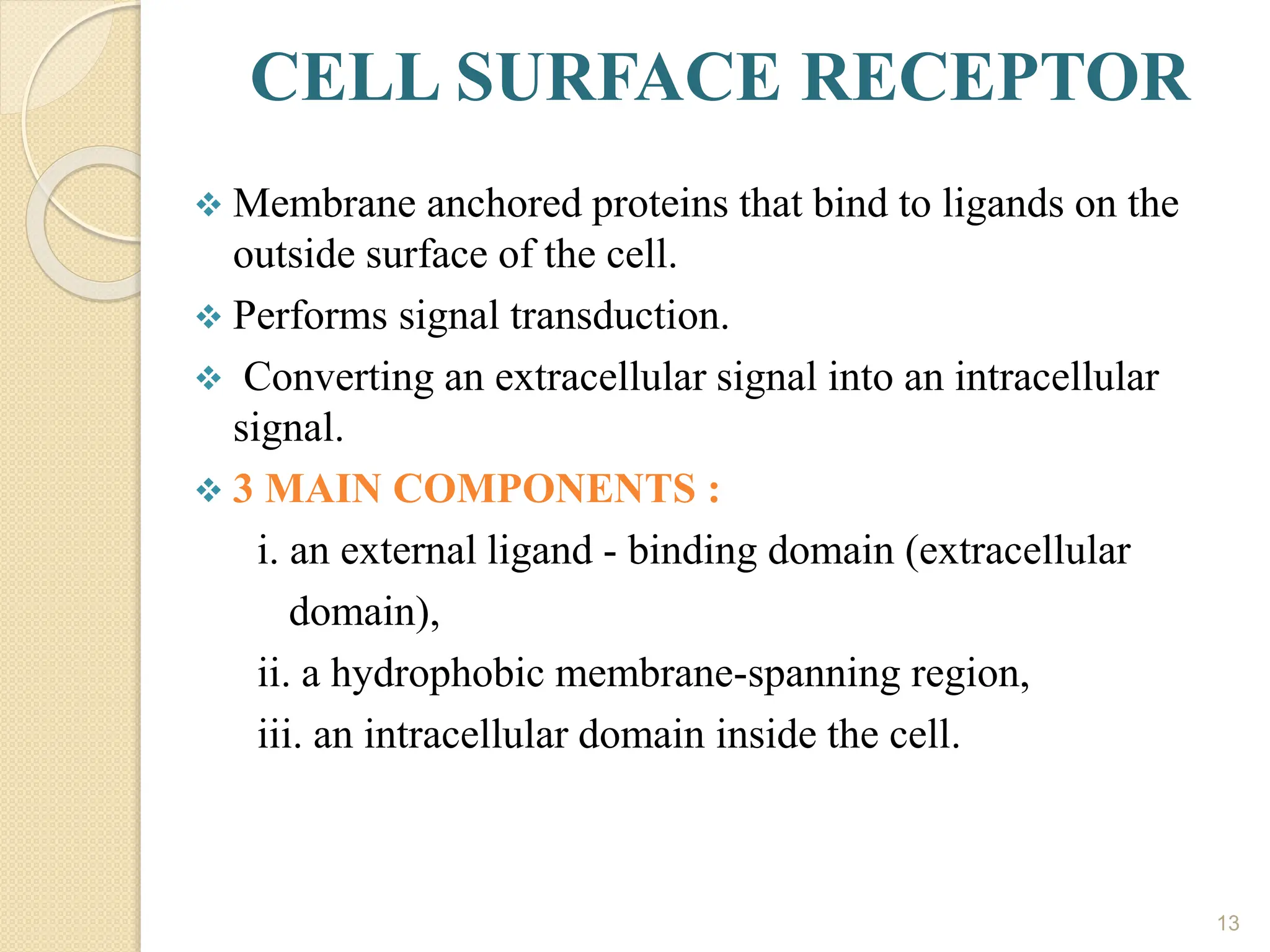 RECEPTORS AS BIOLOGCAL DRUG TARGETS ppt.pptx