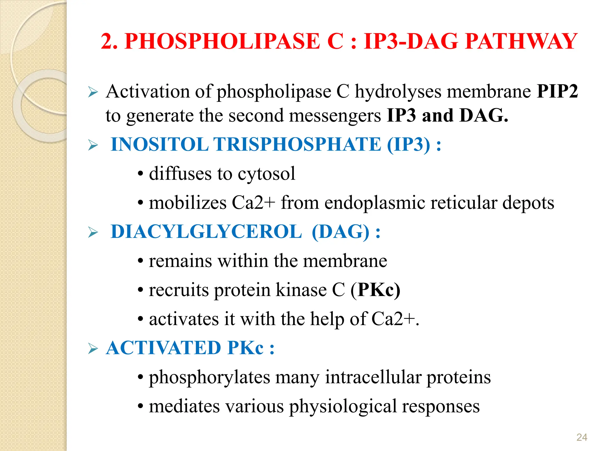 RECEPTORS AS BIOLOGCAL DRUG TARGETS ppt.pptx