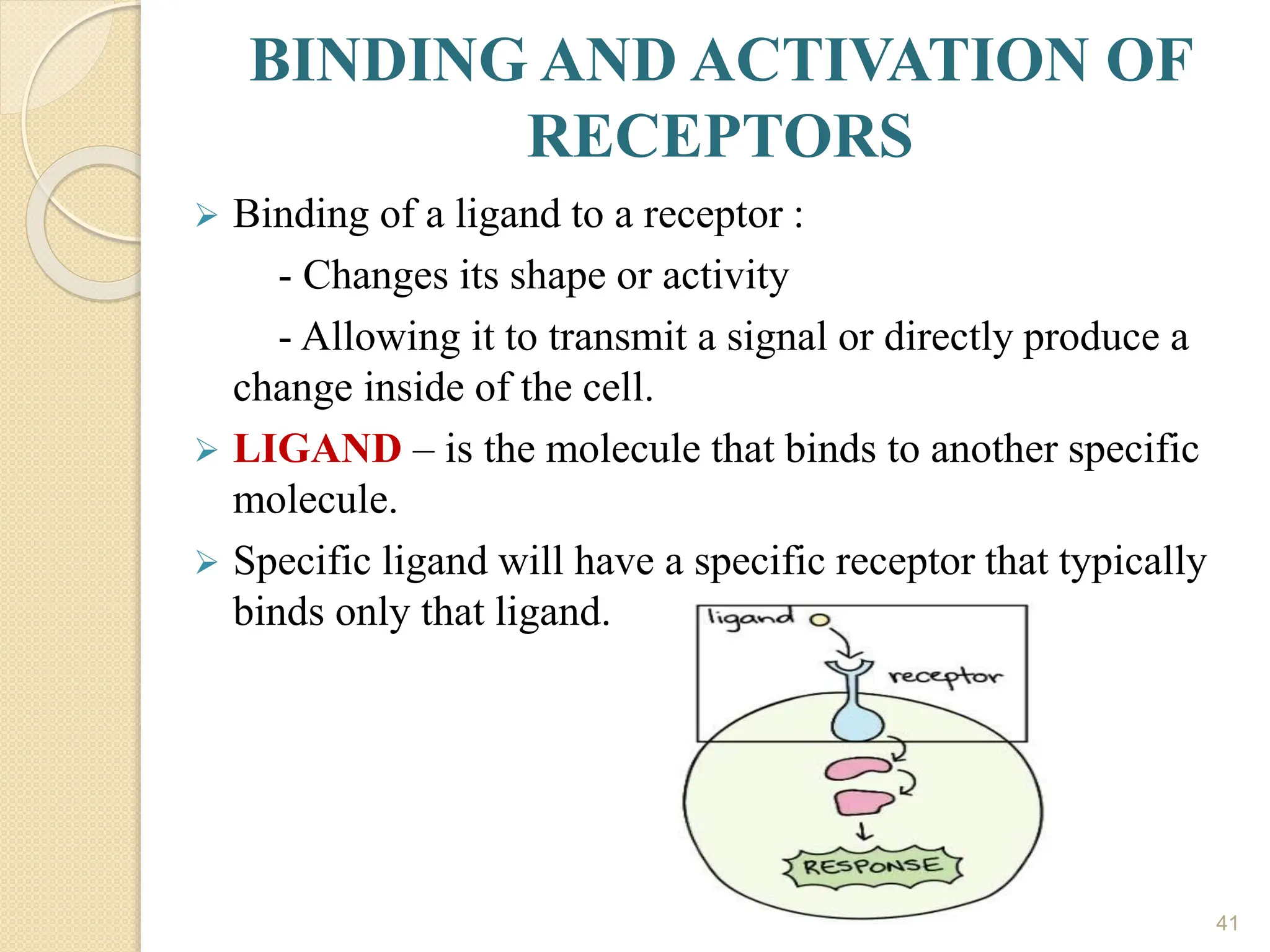 RECEPTORS AS BIOLOGCAL DRUG TARGETS ppt.pptx | Endocrine and Metabolic ...