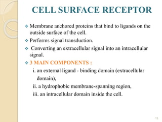 RECEPTORS AS BIOLOGCAL DRUG TARGETS ppt.pptx