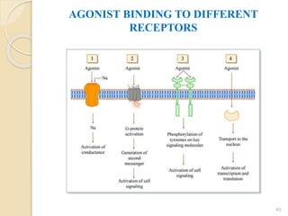 RECEPTORS AS BIOLOGCAL DRUG TARGETS ppt.pptx