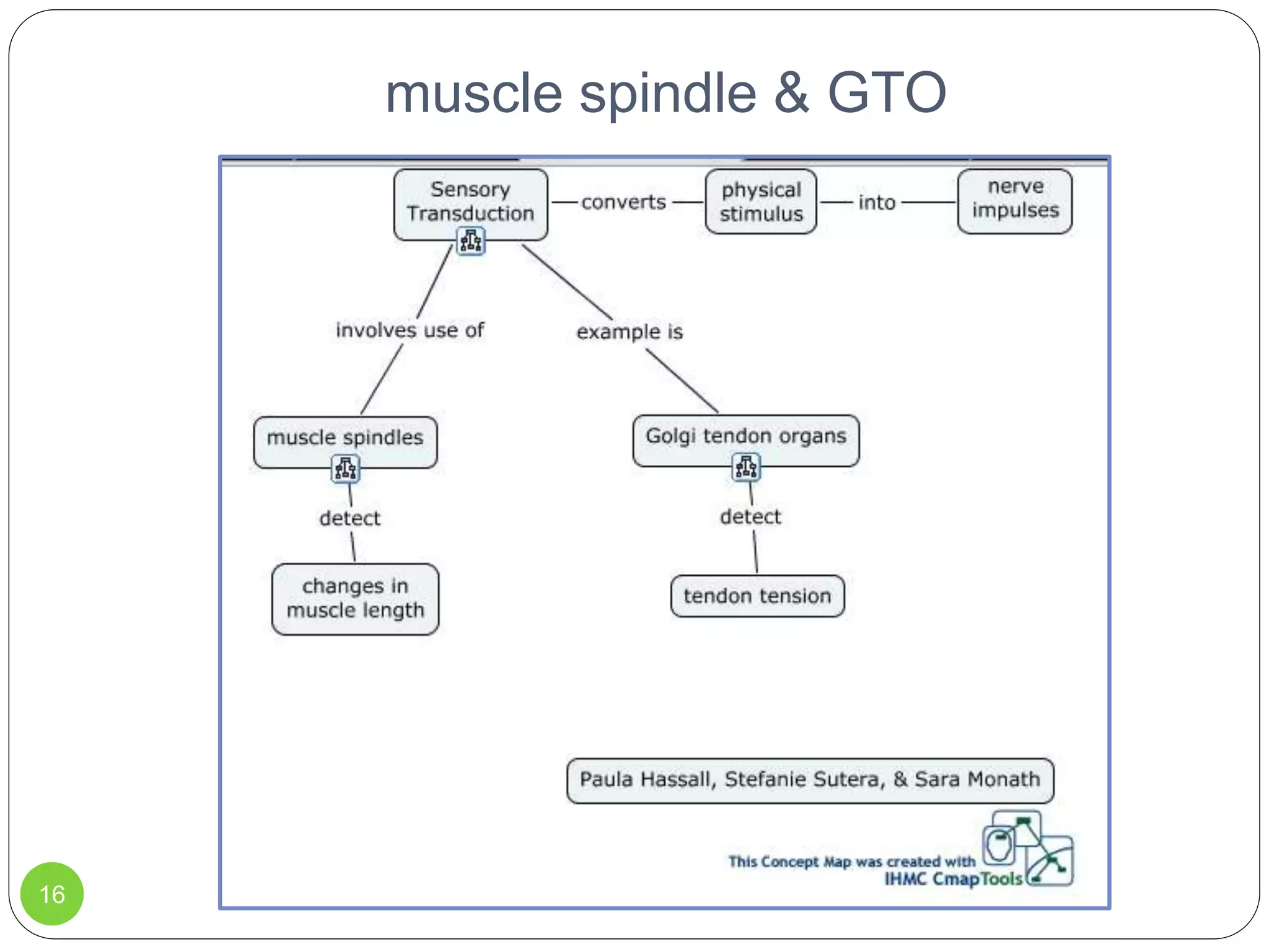 Receptors in Muscle and Their Role in Motor.ppt