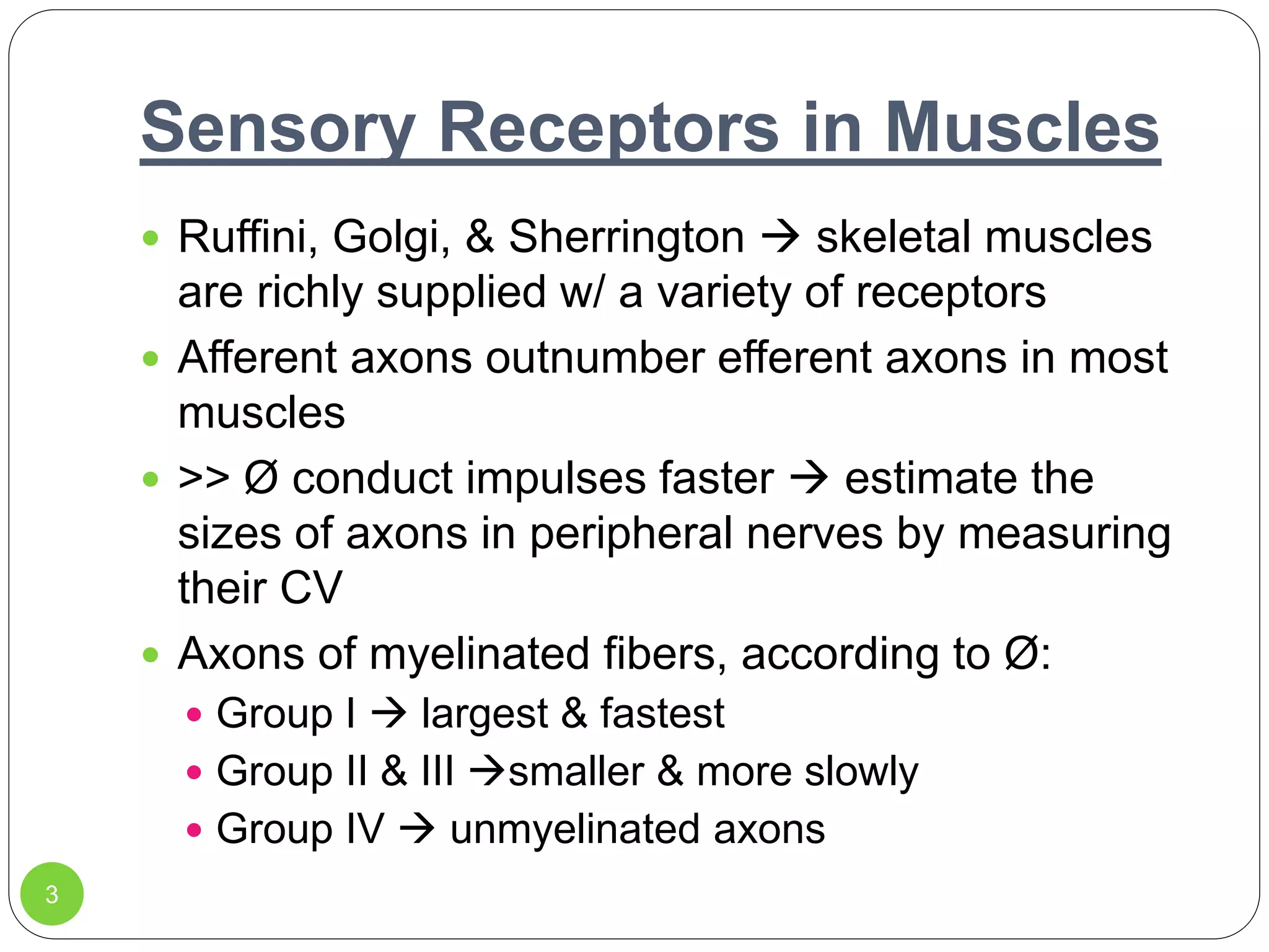 Receptors in Muscle and Their Role in Motor.ppt