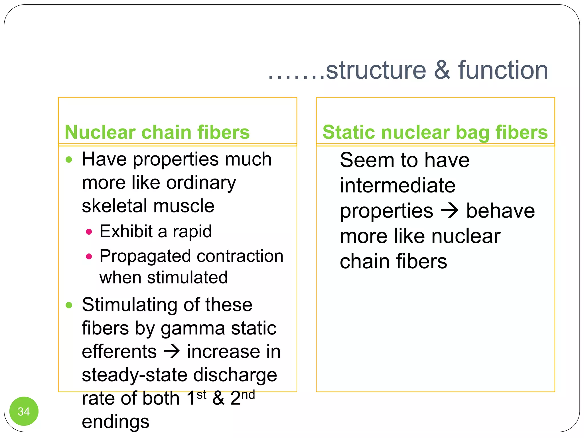 Receptors in Muscle and Their Role in Motor.ppt