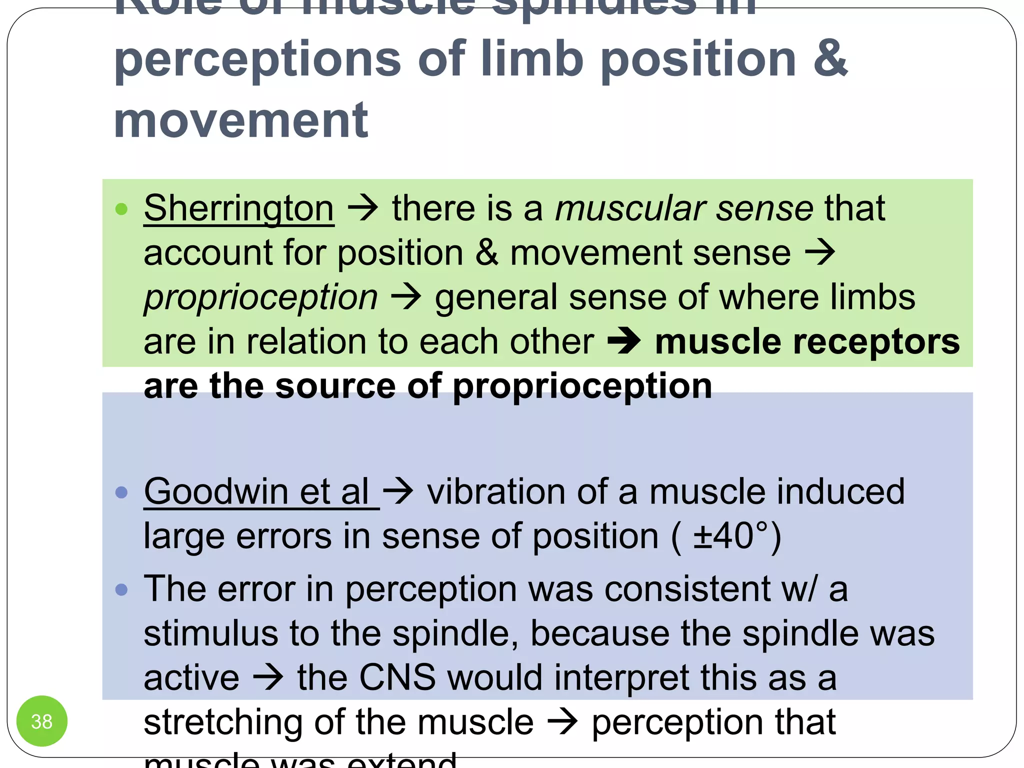 Receptors in Muscle and Their Role in Motor.ppt