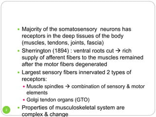Receptors in Muscle and Their Role in Motor.ppt