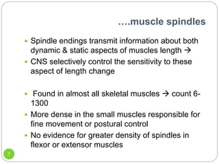 Receptors in Muscle and Their Role in Motor.ppt