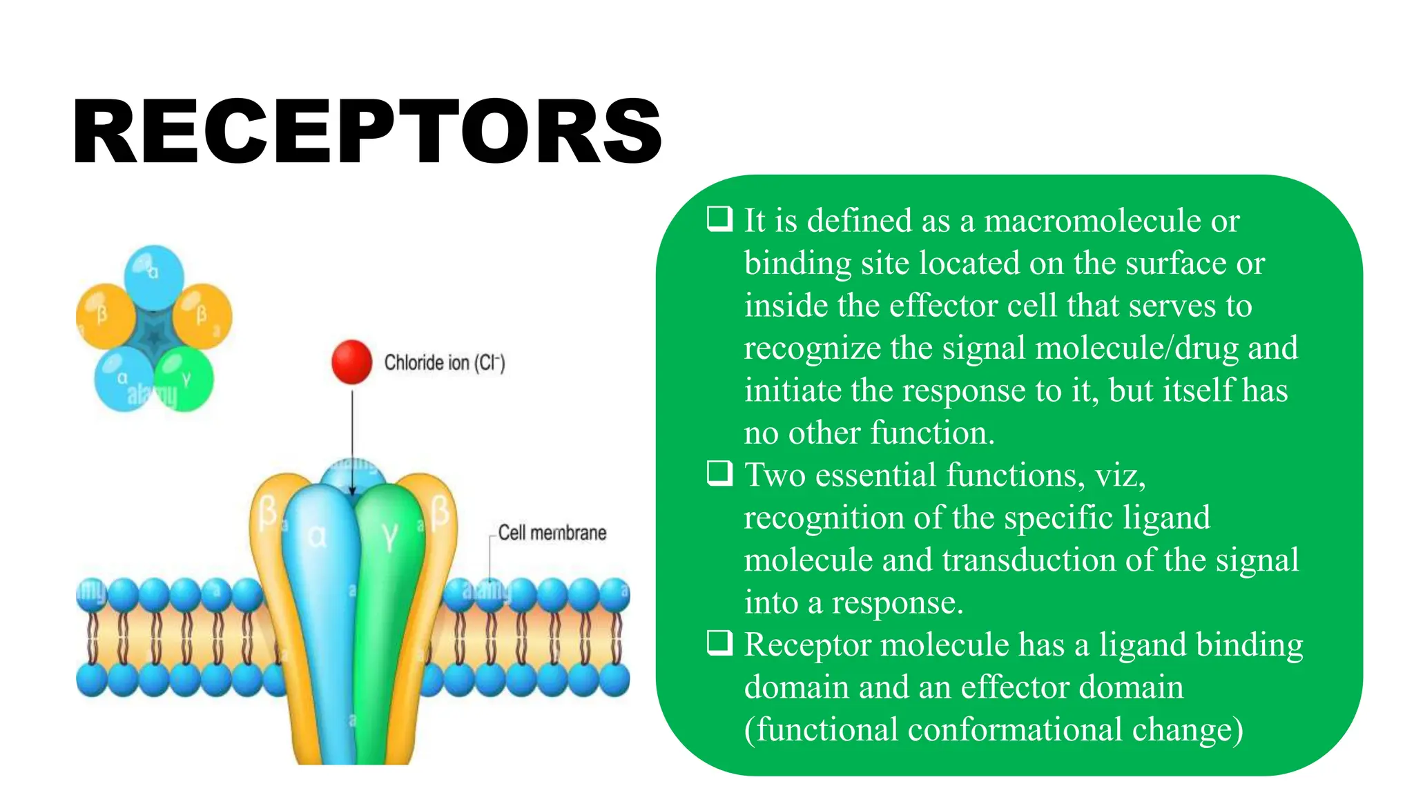 Receptors: Understanding Types and Functions | PPTX