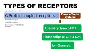 Receptors: Understanding Types and Functions | PPTX