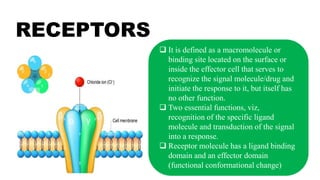 Receptors: Understanding Types and Functions | PPTX
