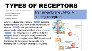 Receptors: Understanding Types and Functions | PPTX