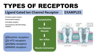Receptors: Understanding Types and Functions | PPTX