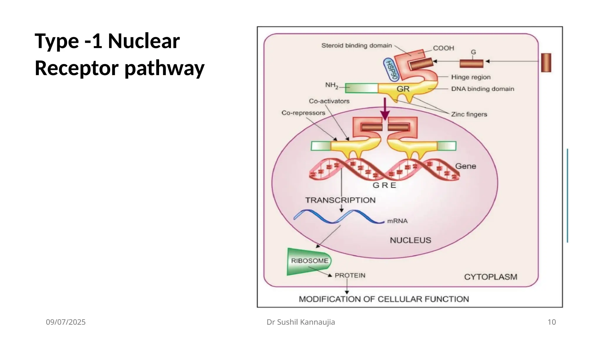 Receptors regulating gene expression_DrSushil.pptx