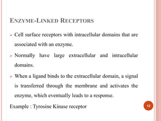 Receptors seminar.pptx