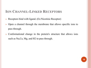 Receptors seminar.pptx