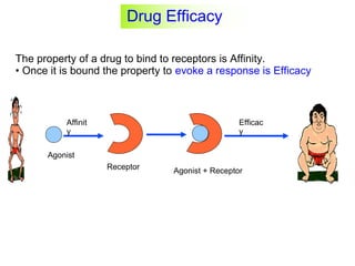 Receptors theory for MEDICAL PROFESSIONALS | PPT