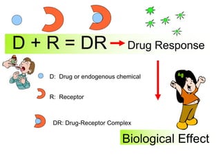 Receptors theory for MEDICAL PROFESSIONALS | PPT