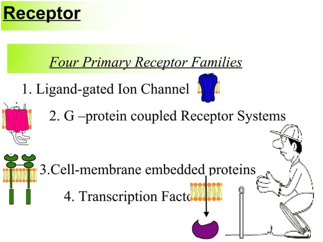 Receptors theory for MEDICAL PROFESSIONALS | PPT