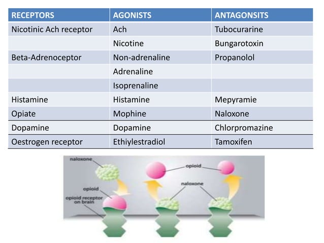 Receptors types | PPTX | Pharmaceutical Drugs | Medical Health
