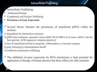 Receptor targeted polyplexes for pdna and sirna delivery emadi | PPT