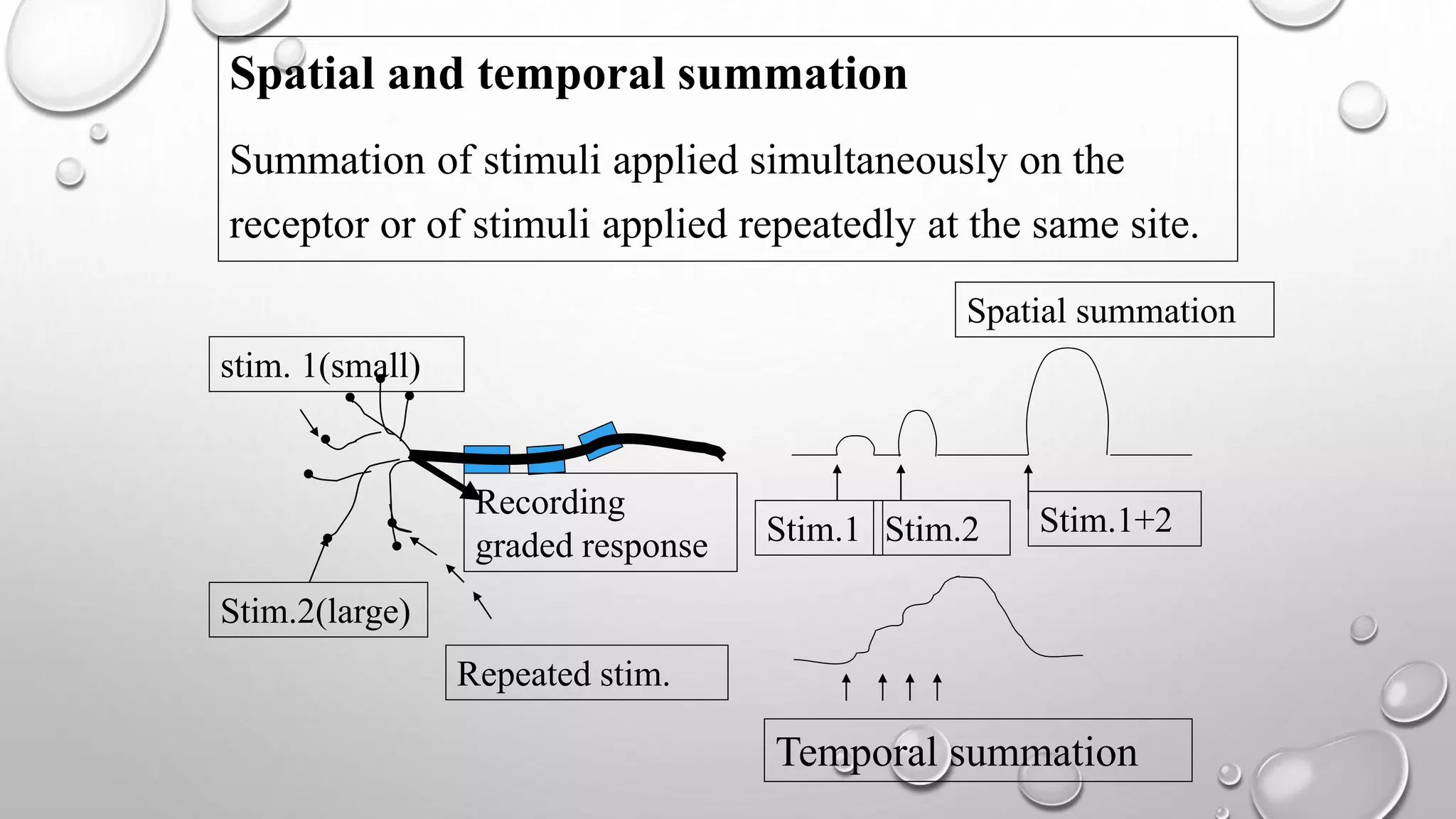 Receptor by Pandian M, Tutor, Dept of Physiology, DYPMCKOP, MH. This PPT for MBBS and tutorial ...