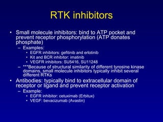 Receptor Tyrosine Kinases | PPT