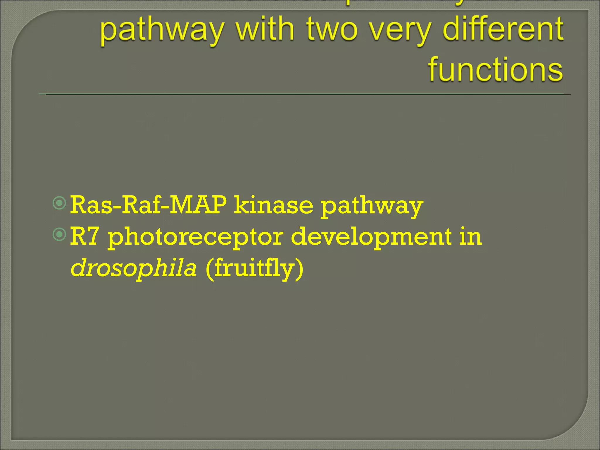 Receptor tyrosine kinases.ppt