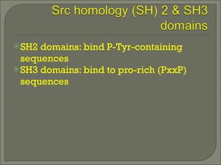 Receptor tyrosine kinases.ppt