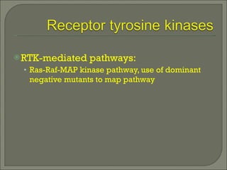 Receptor tyrosine kinases.ppt