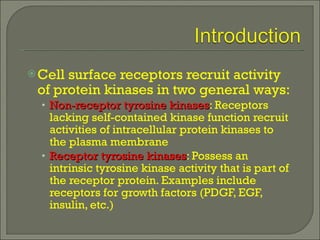 Receptor tyrosine kinases.ppt