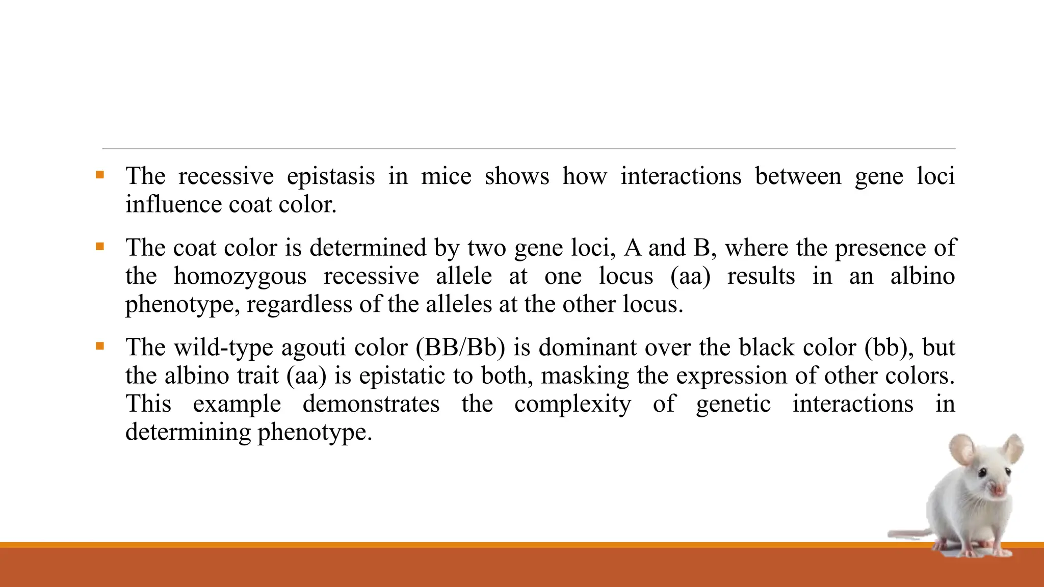 Recessive Epistasis in Mouse Coat Color- Gene Interaction | PDF