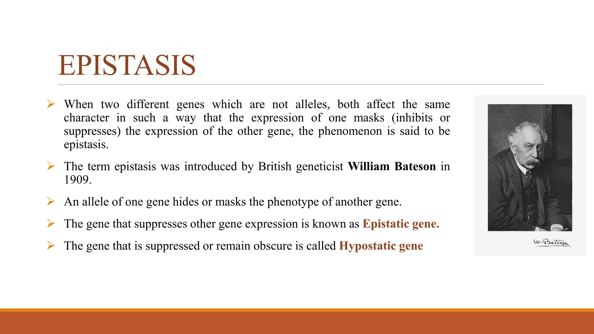 Recessive Epistasis in Mouse Coat Color- Gene Interaction | PDF