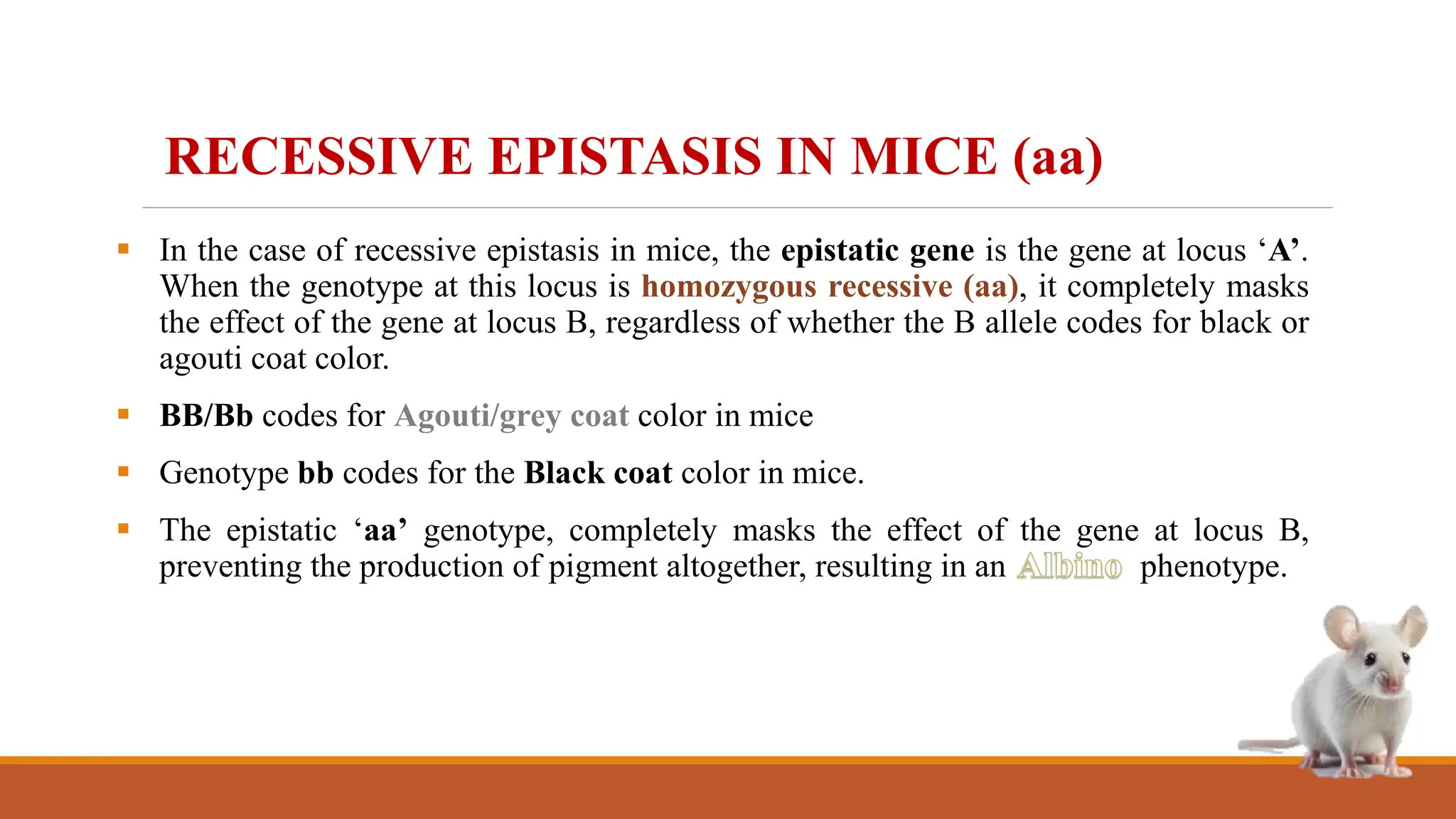 Recessive Epistasis in Mouse Coat Color- Gene Interaction | PDF