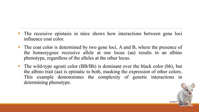 Recessive Epistasis in Mouse Coat Color- Gene Interaction | PDF