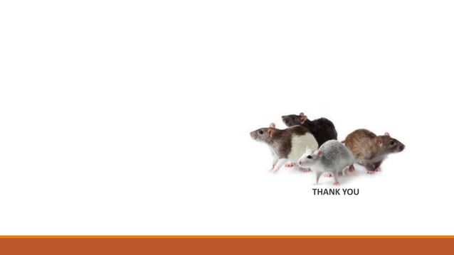 Recessive Epistasis in Mouse Coat Color- Gene Interaction | PDF