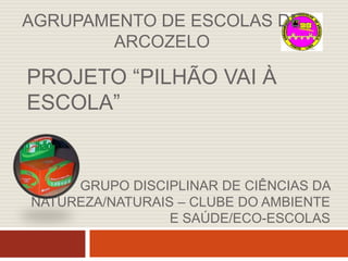 Reciclagem das pilhas | PPTX