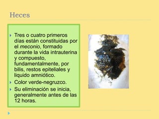 Características del recién nacido normal | PPTX