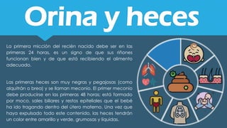 RECIEN NACIDO Y NOR-007.pdf