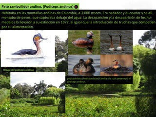 Recientemente extintos | PPTX