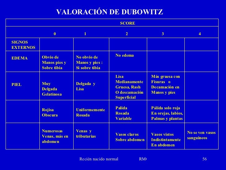 ReciéN Nacido Normal F.