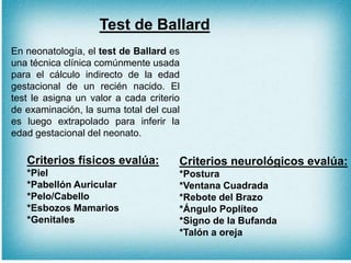 Recién Nacido.pptx