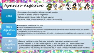 Recién nacido de término | PPTX