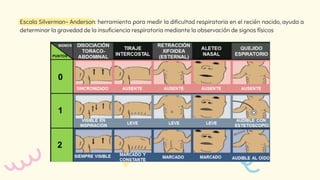 HITOS Y DESAROLLO DEL RECIÉN NACIDO, PEDIATRIA | PDF